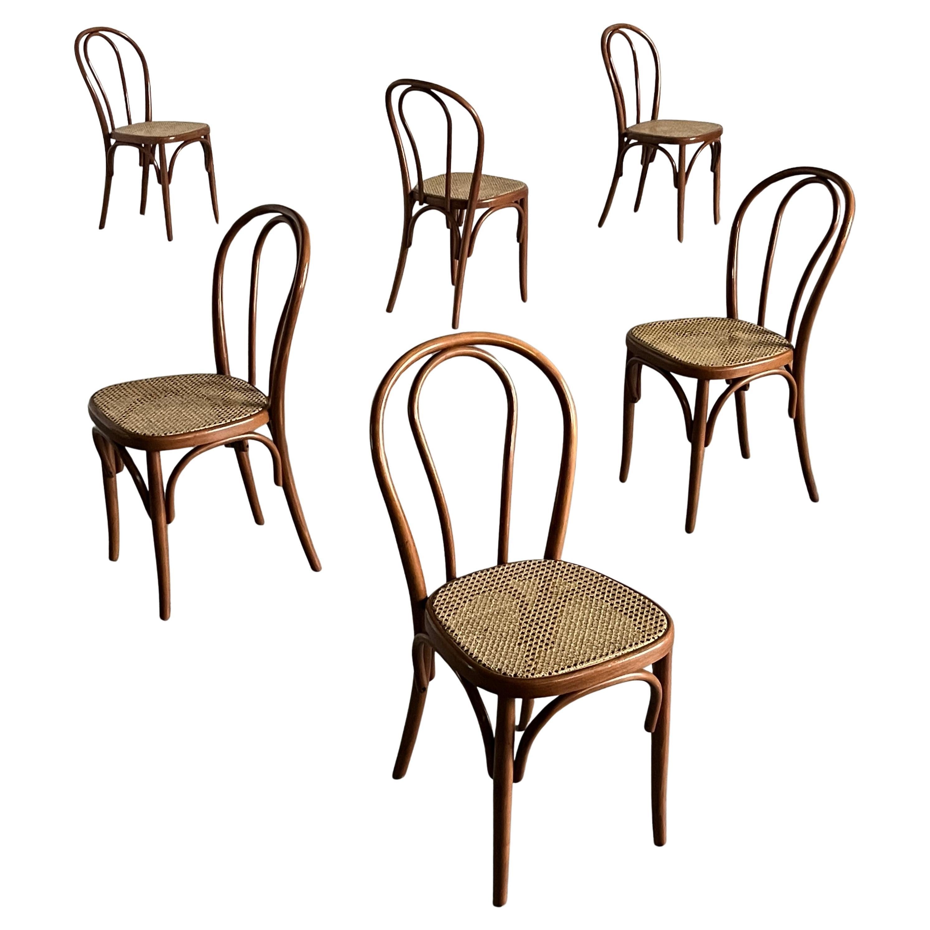 Vintage Thonet Bentwood Style Chair No. 14 / European Cafe Dining Chair ...