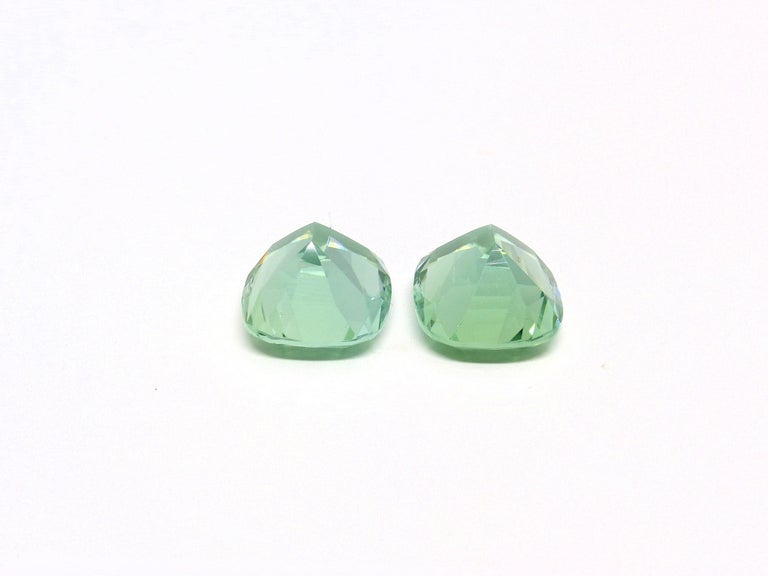 1 Pair of 2 Magnificent Mintgreen Tourmalines Cut with Large Facettes ...