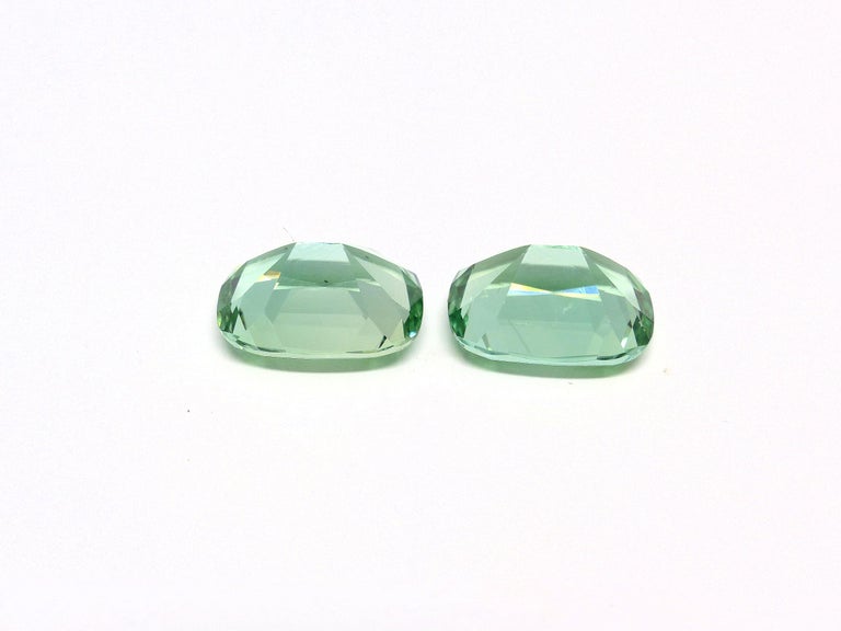 1 Pair of 2 Magnificent Mintgreen Tourmalines Cut with Large Facettes ...