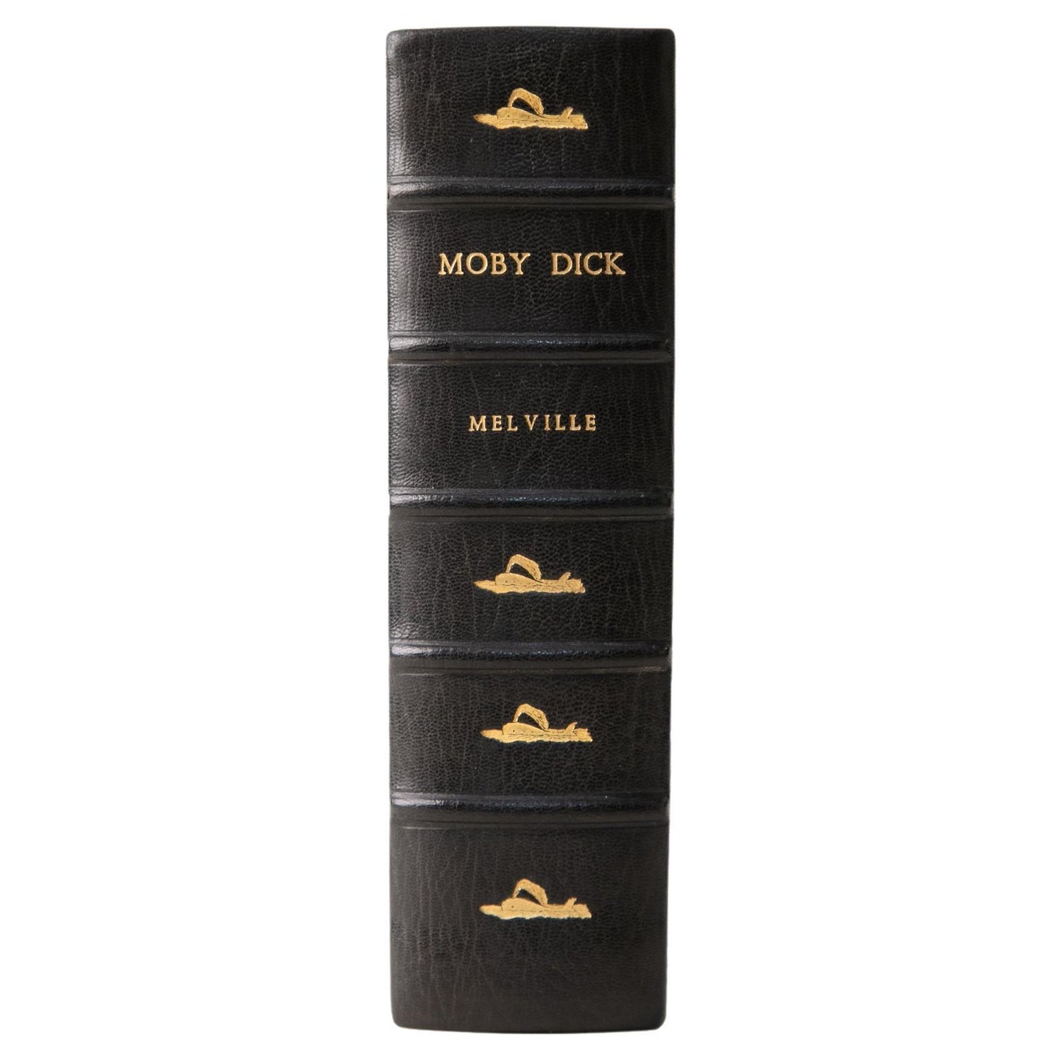 Moby Dick Book Thickness