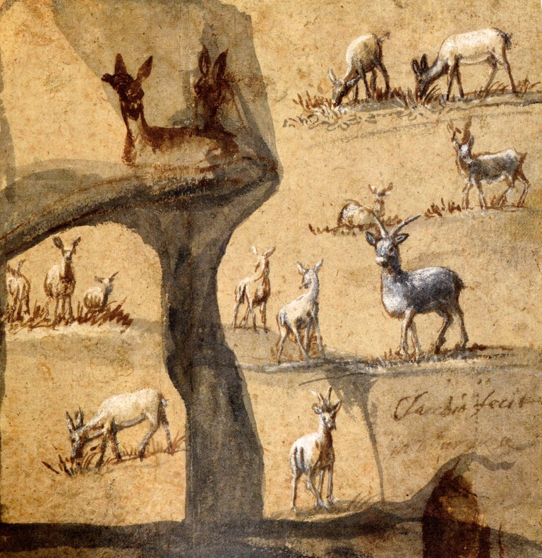 100 Master Drawings from The Morgan Library and Museum, Pierpont Morgan ...