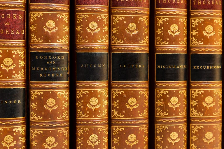 11 Volumes, Henry David Thoreau, Works of Thoreau at 1stDibs