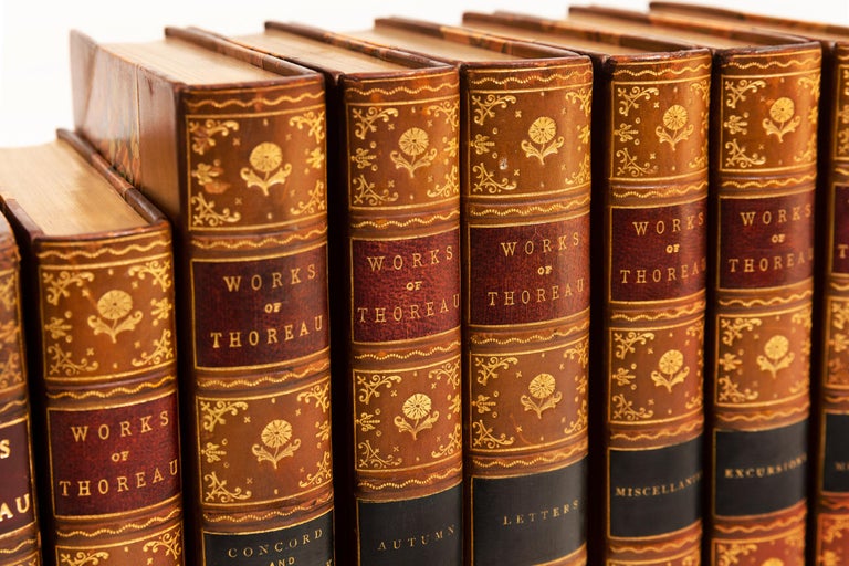 11 Volumes, Henry David Thoreau, Works of Thoreau at 1stDibs