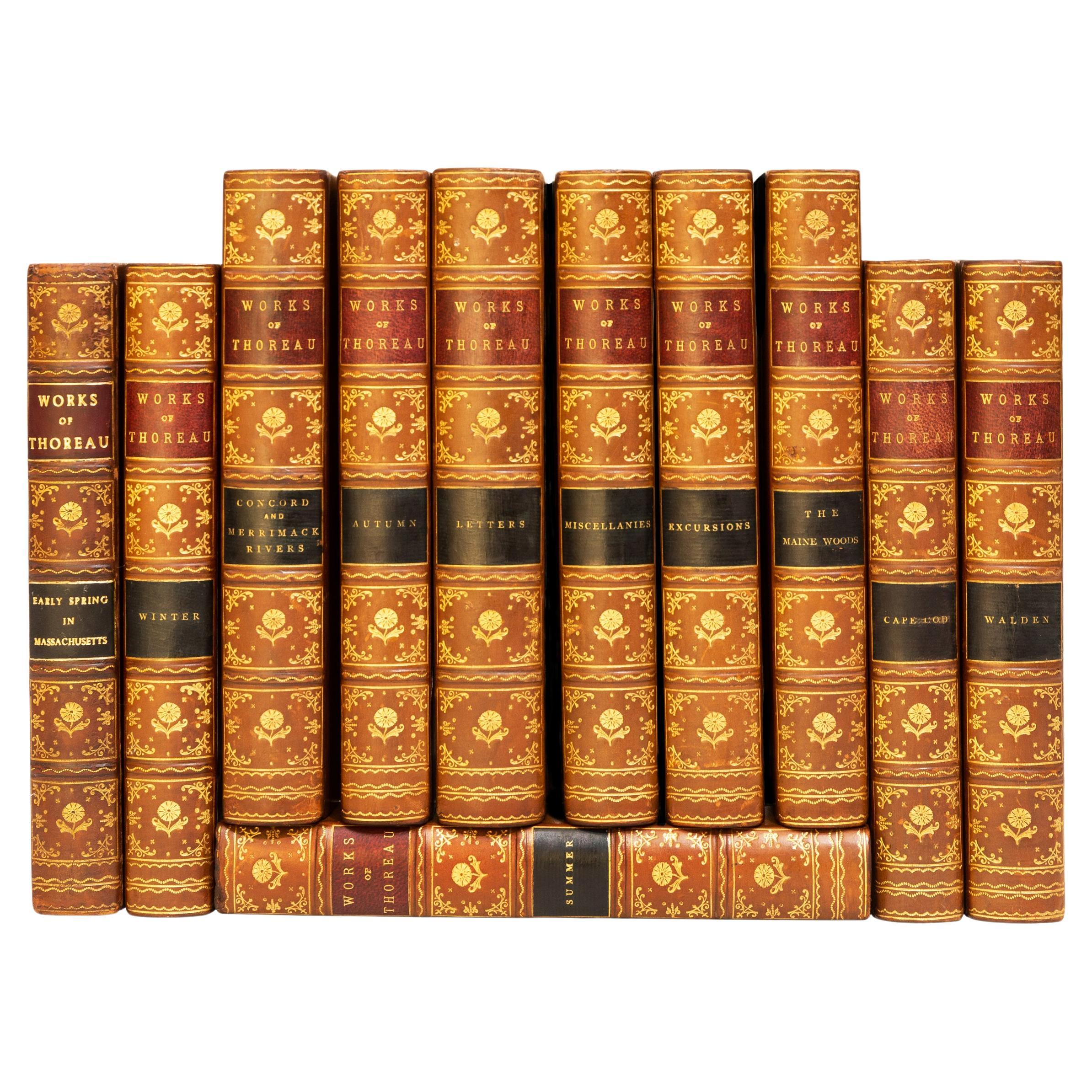 11 Volumes, Henry David Thoreau, Works of Thoreau at 1stDibs