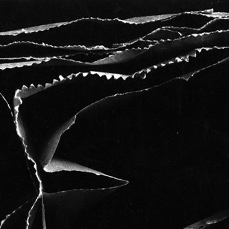 Kenneth Josephson - Chicago (62-35-11-41) For Sale at 1stDibs