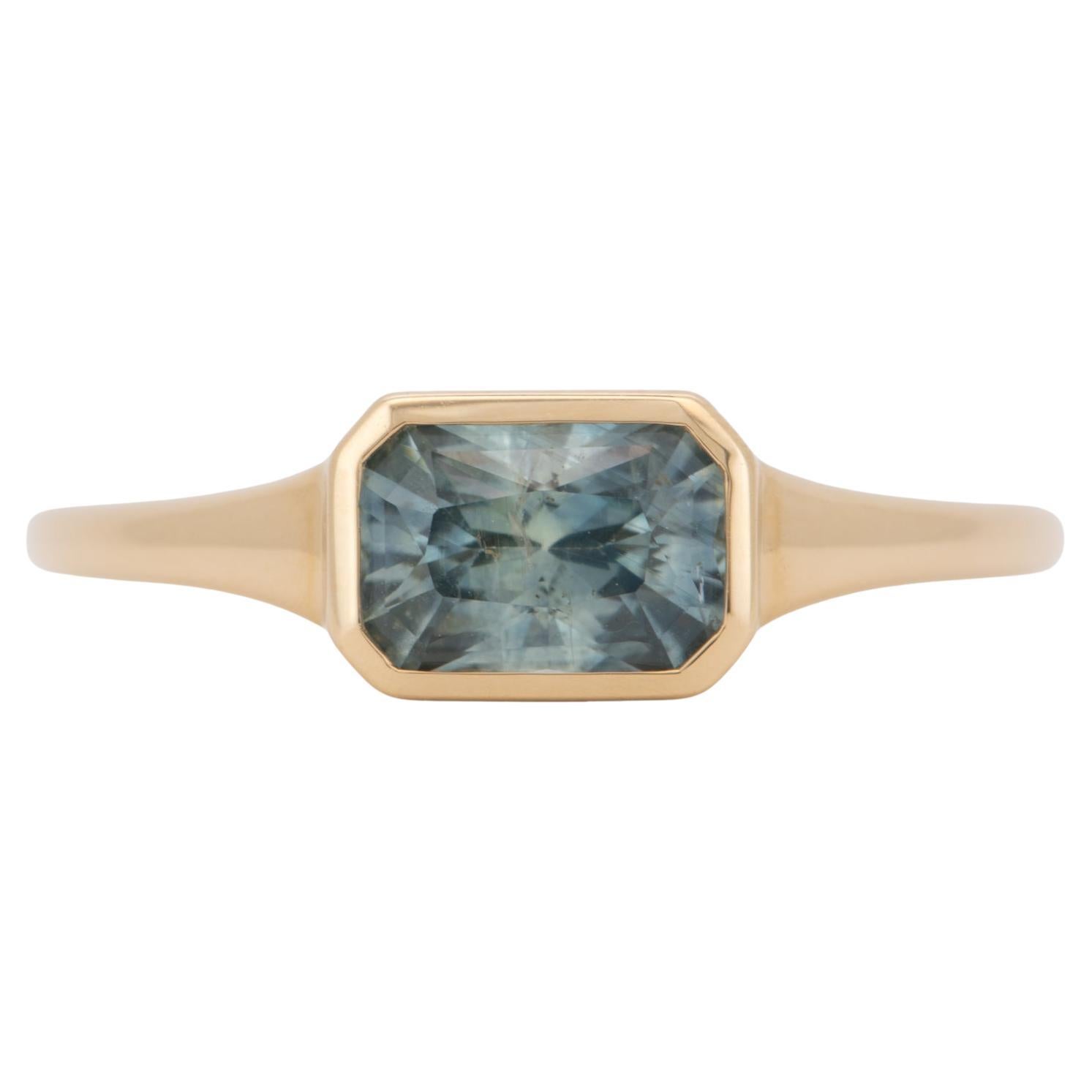 1.18ct Montana Sapphire Bezel Set Signet Ring 14K Gold R6749 at 1stDibs