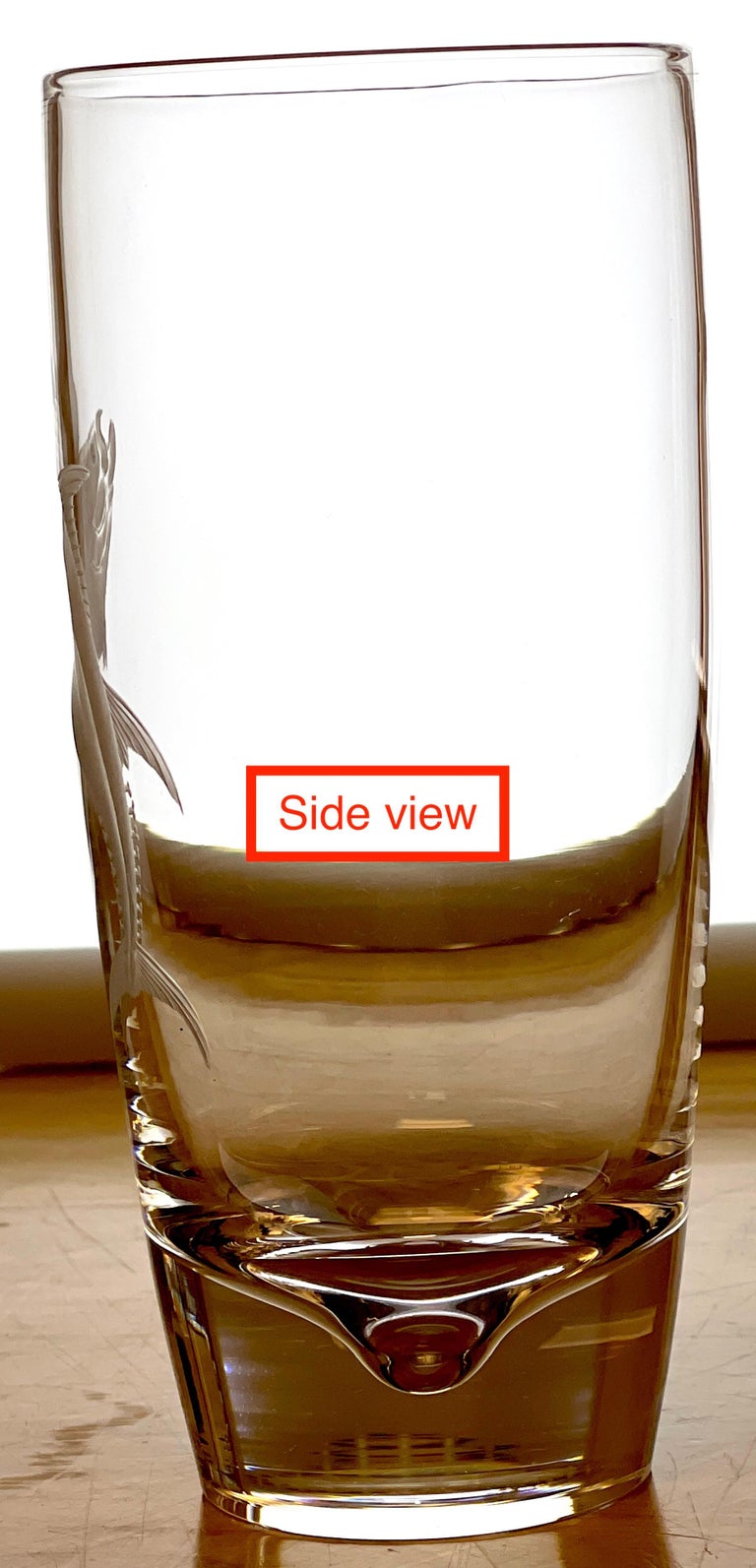 12 Steuben/ George Thompson Engraved Prized Bull and Game Fish Glasses ...