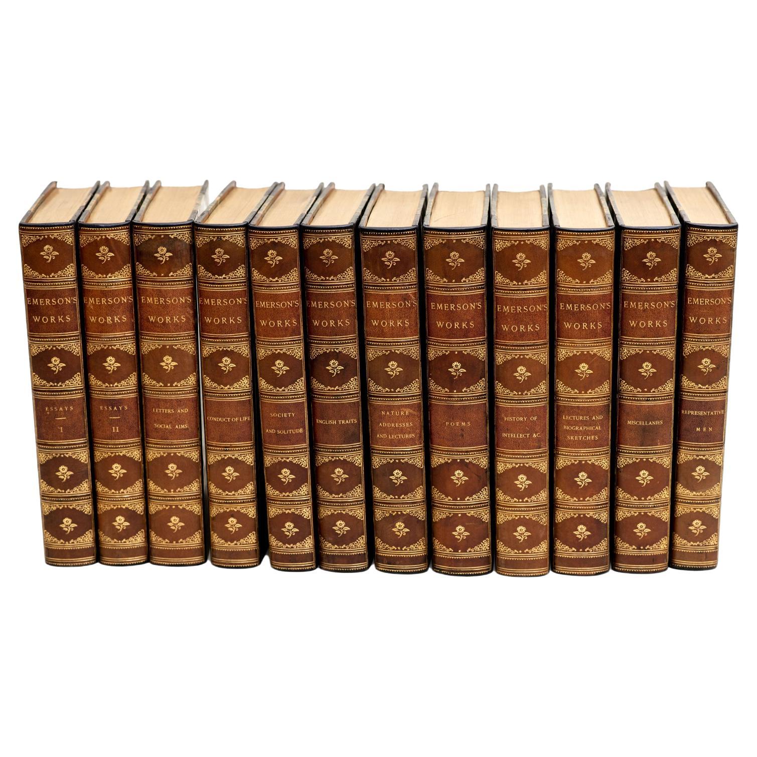 30 Volumes. Charles Dickens. Complete Works. at 1stDibs | how much are ...
