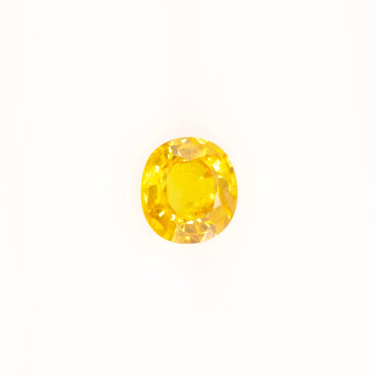 1.35 Carat Natural Yellow Sapphire Precious Loose Gemstone ...