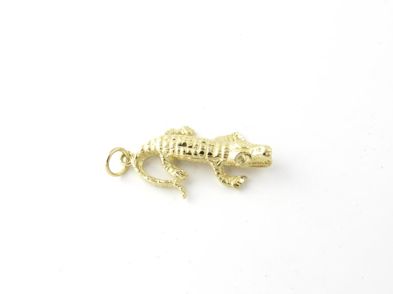 14 Karat Yellow Gold Alligator Pendant For Sale at 1stDibs