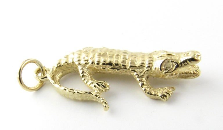14 Karat Yellow Gold Alligator Pendant For Sale at 1stDibs