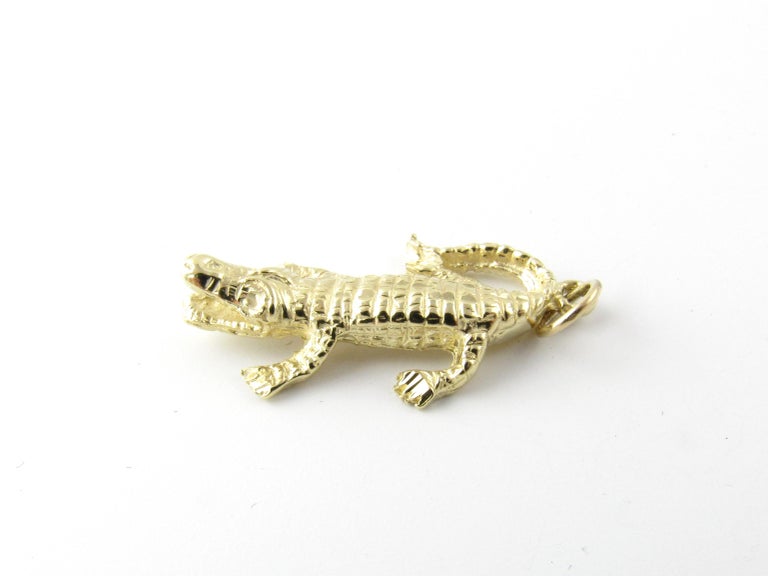 14 Karat Yellow Gold Alligator Pendant For Sale at 1stDibs