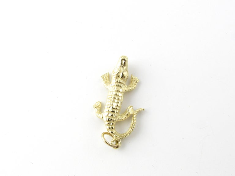 14 Karat Yellow Gold Alligator Pendant For Sale at 1stDibs
