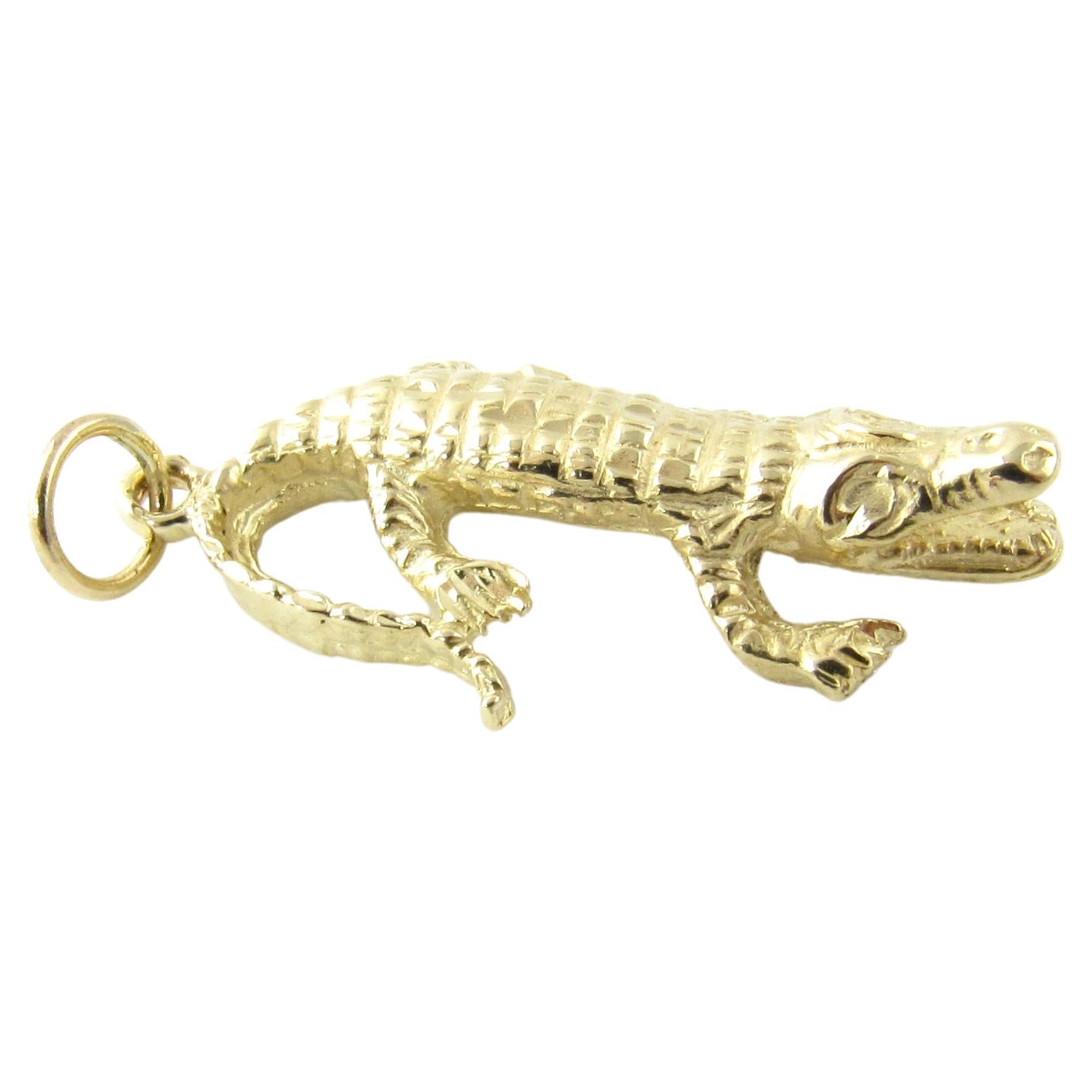 14 Karat Yellow Gold Alligator Pendant For Sale at 1stDibs
