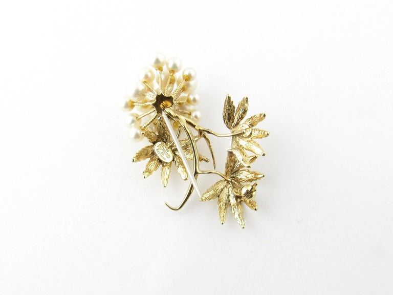 14 Karat Yellow Gold and Pearl Grosse Germany Brooch or Pin at 1stDibs ...