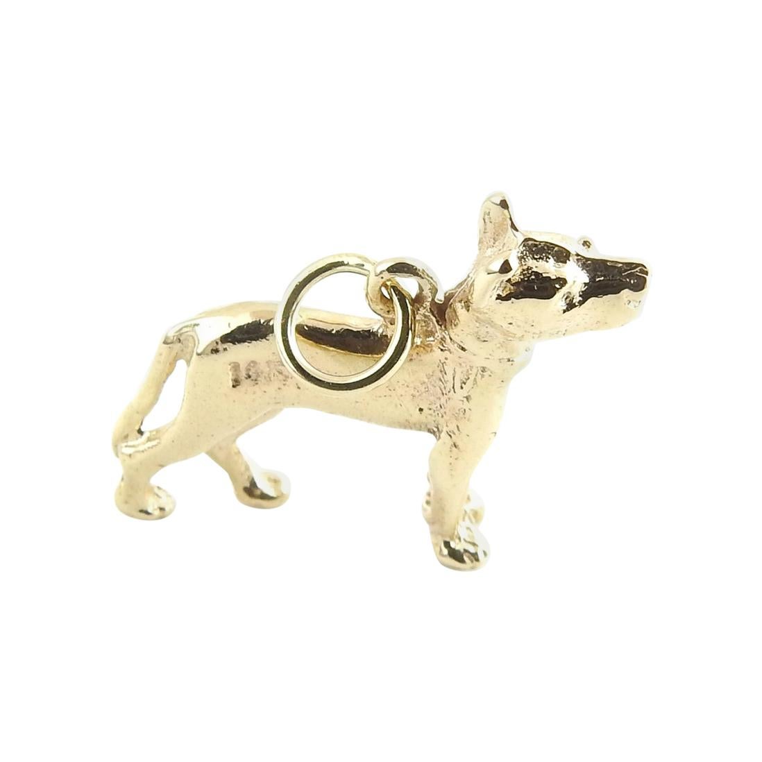 14 Karat Yellow Gold Great Dane Charm at 1stDibs