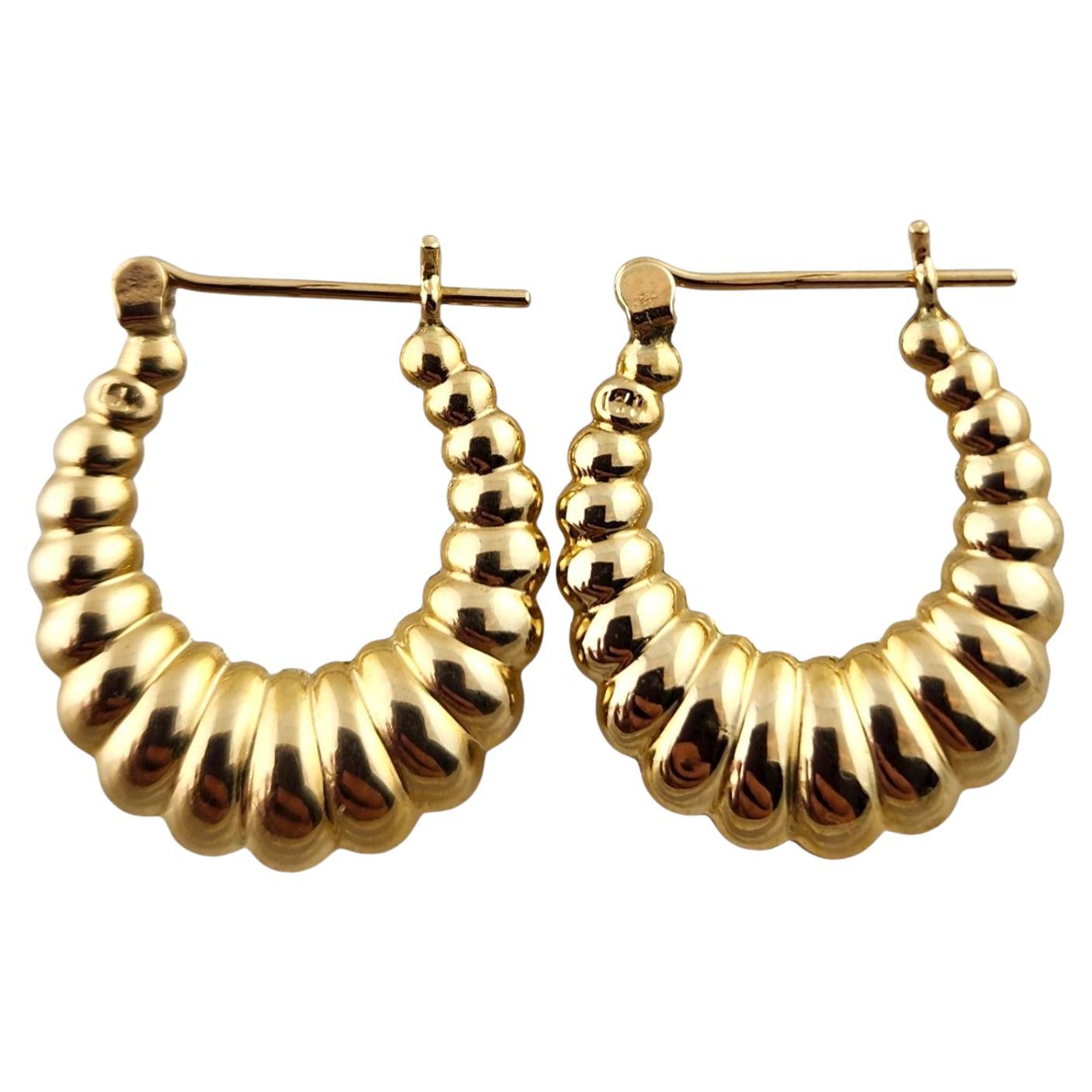 Tallaric 18 Karat Yellow Gold Diamond Scalloped Shrimp Hoop Earring For ...