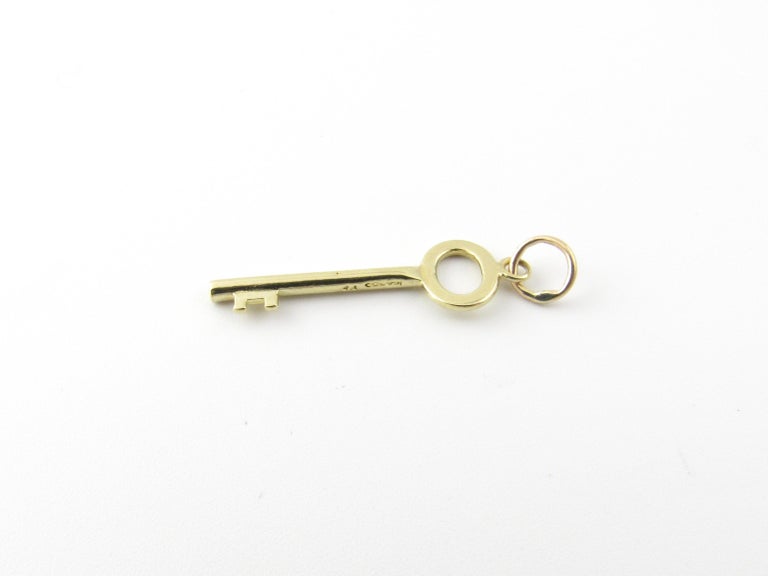 14 Karat Yellow Gold Skeleton Key Charm at 1stDibs