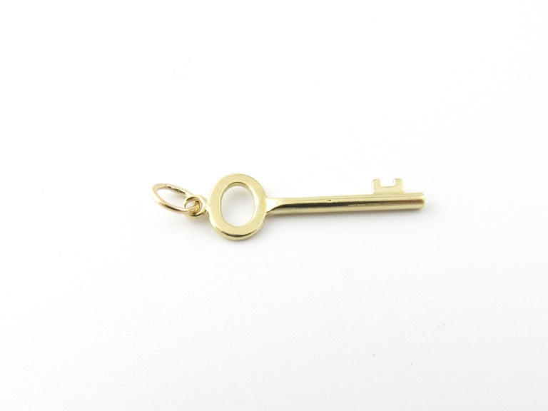 14 Karat Yellow Gold Skeleton Key Charm at 1stDibs