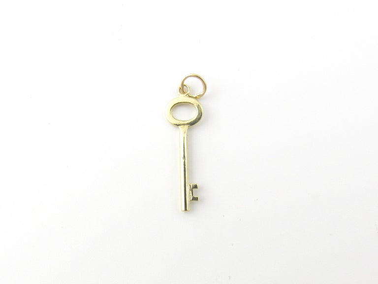 14 Karat Yellow Gold Skeleton Key Charm at 1stDibs