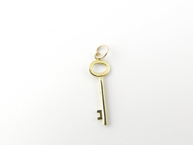 14 Karat Yellow Gold Skeleton Key Charm at 1stDibs