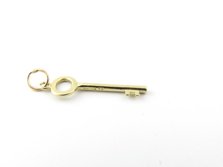 14 Karat Yellow Gold Skeleton Key Charm at 1stDibs
