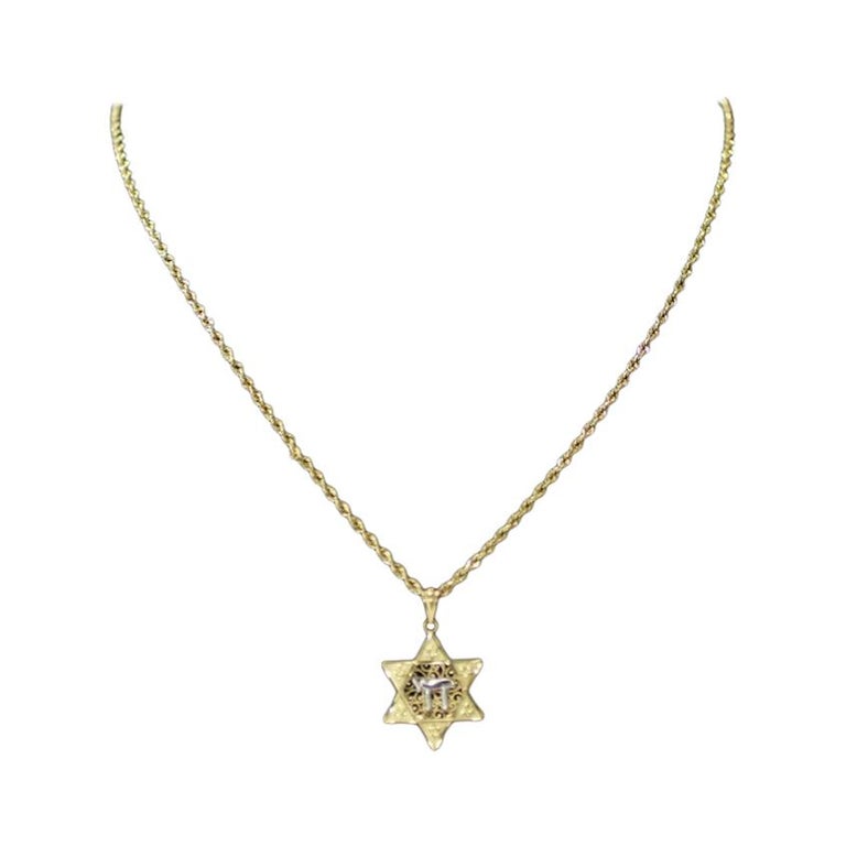 14 Karat Yellow Gold "Star of David" with a Dolphin on a Rope Chain For ...