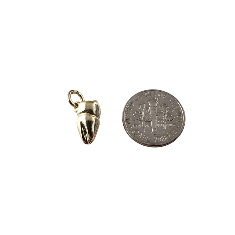 14 Karat Yellow Gold Tooth Charm For Sale at 1stDibs
