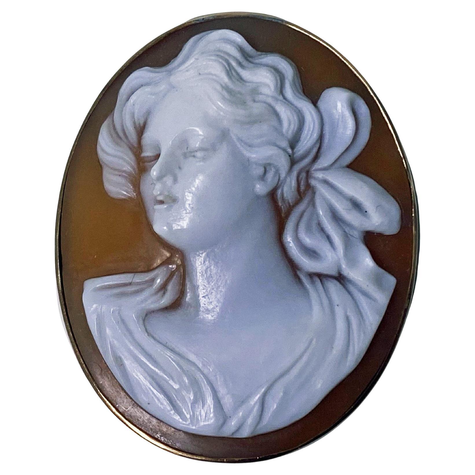 Carved Shell Cameo Pendant 12 Karat Gold For Sale at 1stDibs | 12 karat ...