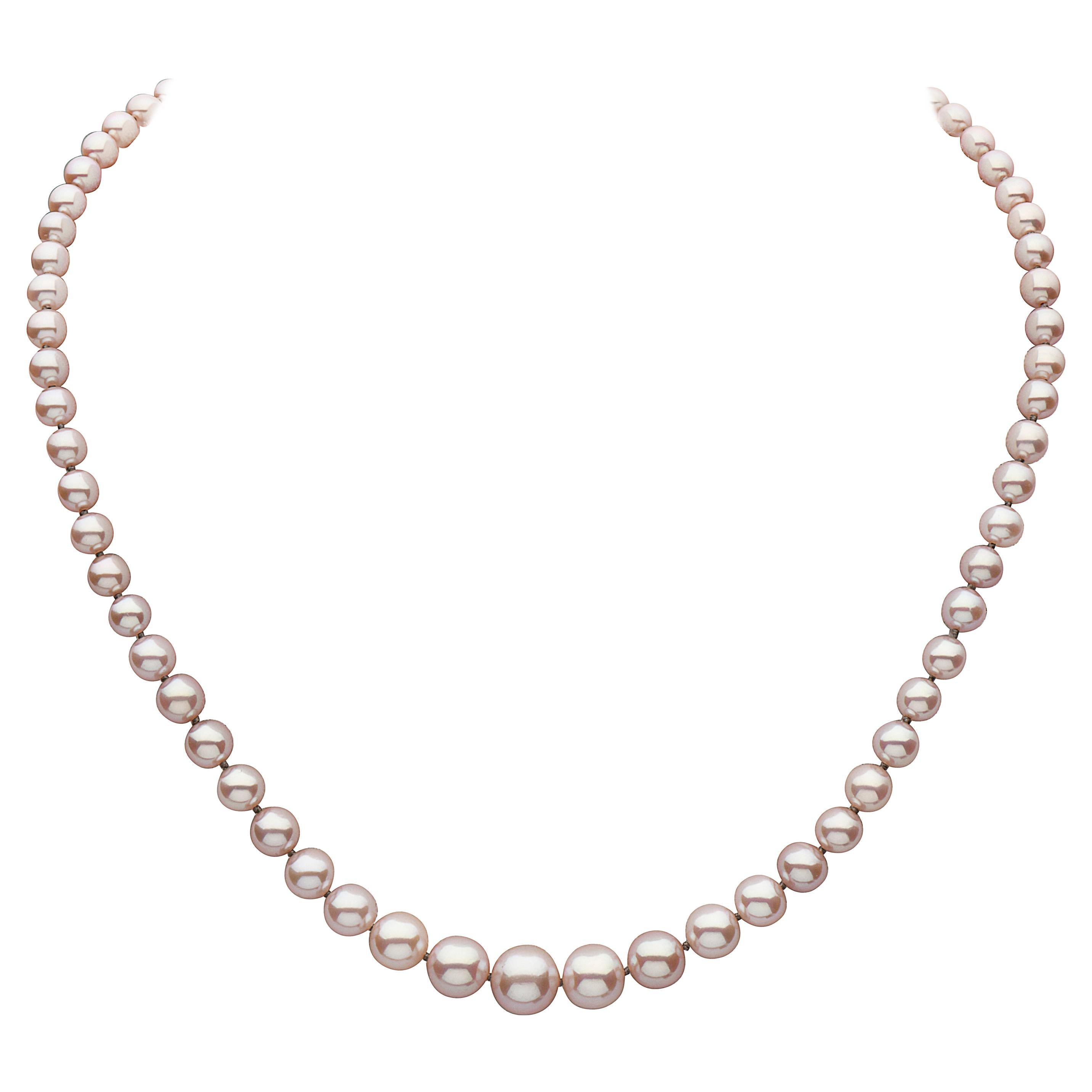 Freshwater Pink 3 3 5mm Cultured Pearl Necklace 14k White Gold Clasp
