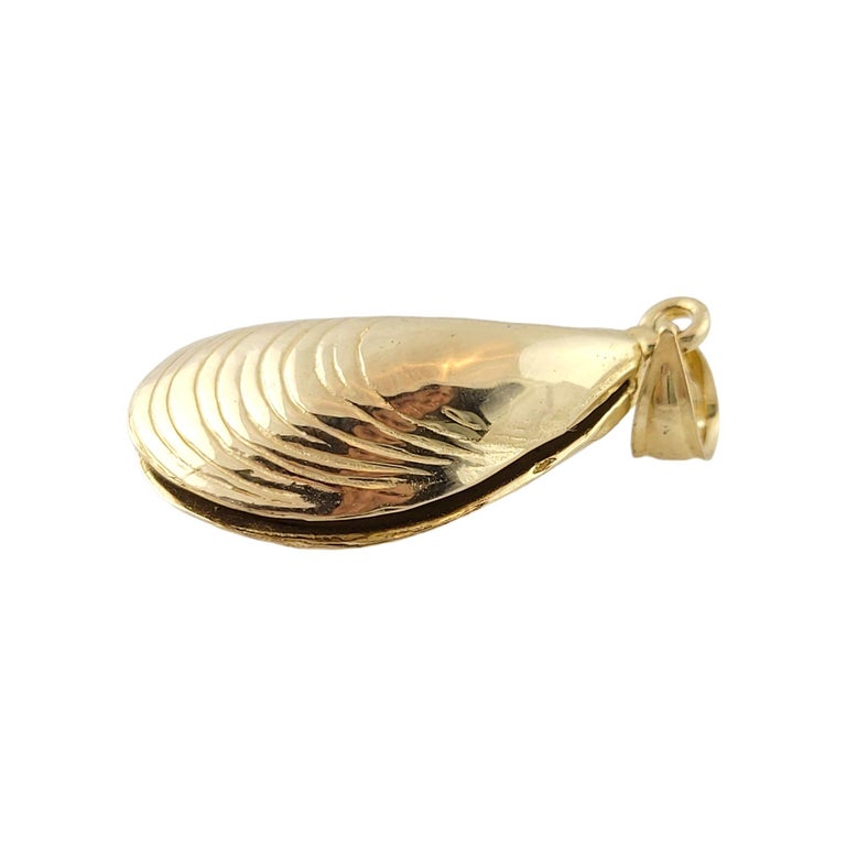 14K Yellow Gold Mussel Shell Charm For Sale at 1stDibs