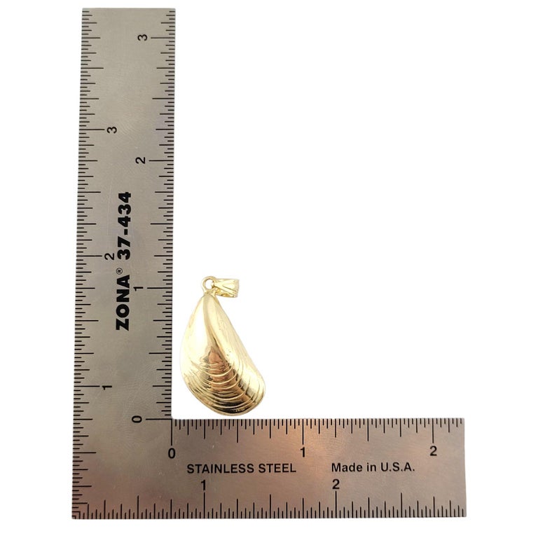 14K Yellow Gold Mussel Shell Charm For Sale at 1stDibs