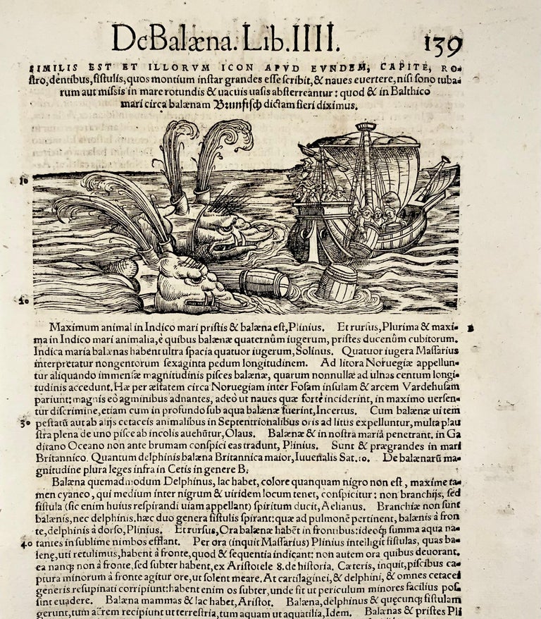 1558 Conrad Gesner, Monstrous Whale Attacks a Sailing Ship, Woodcut ...