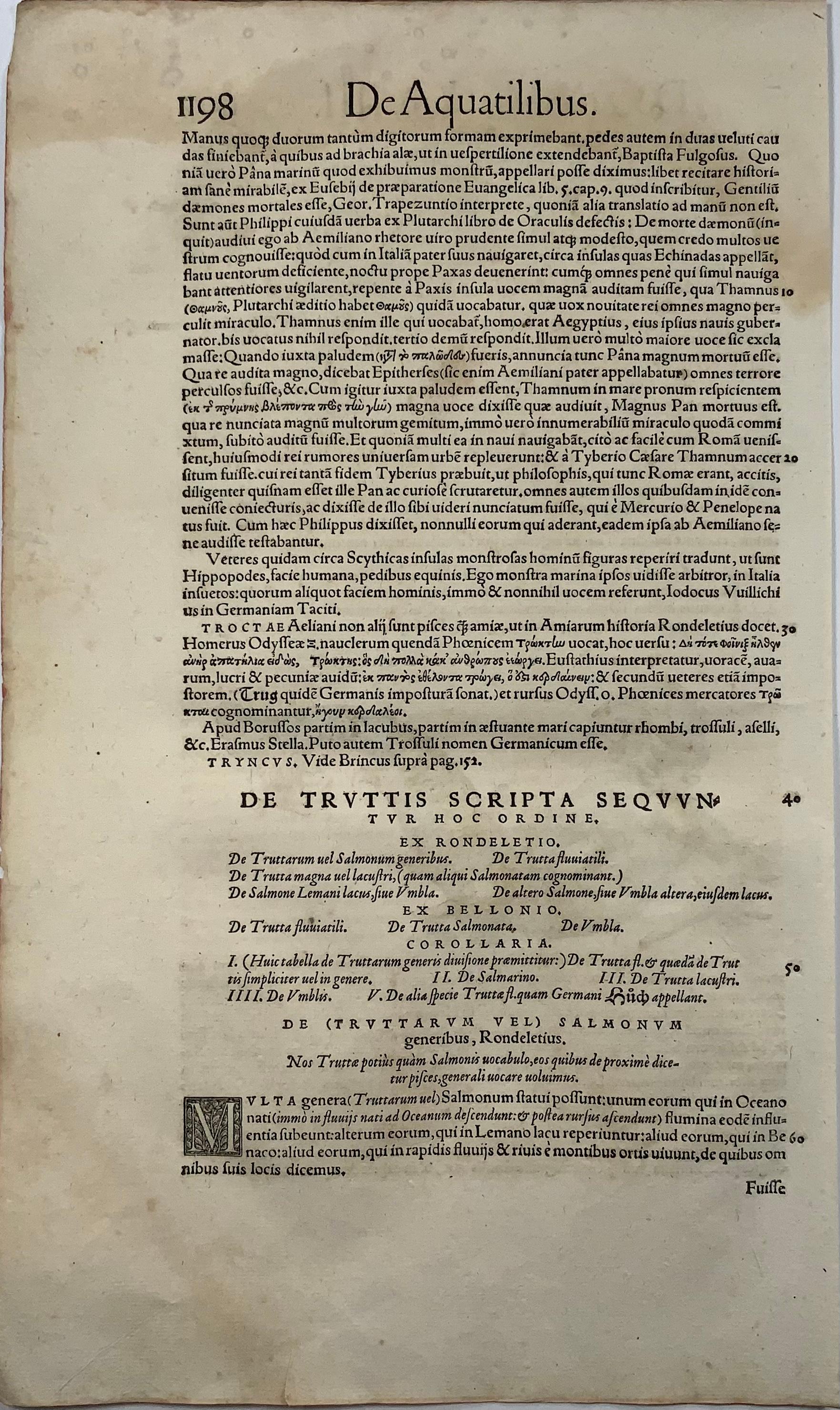 1558 Sea Monster Demon, First State, Conrad Gesner, Woodcut, Hand ...