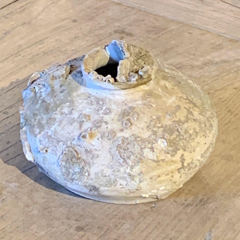 15th Century Barnacle Covered Song Dynasty Shipwrecked Vase, China at ...