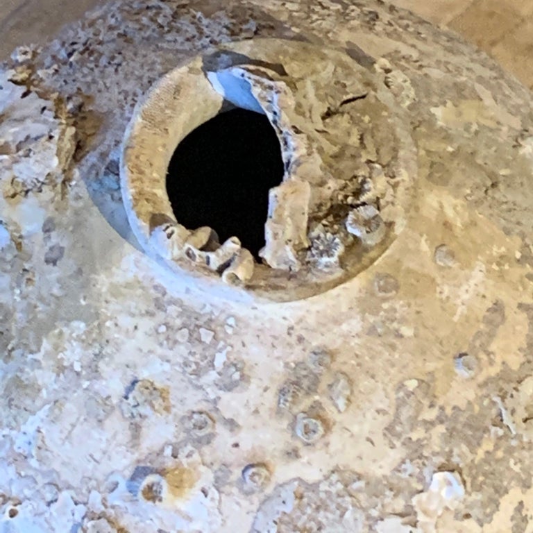 15th Century Barnacle Covered Song Dynasty Shipwrecked Vase, China at ...