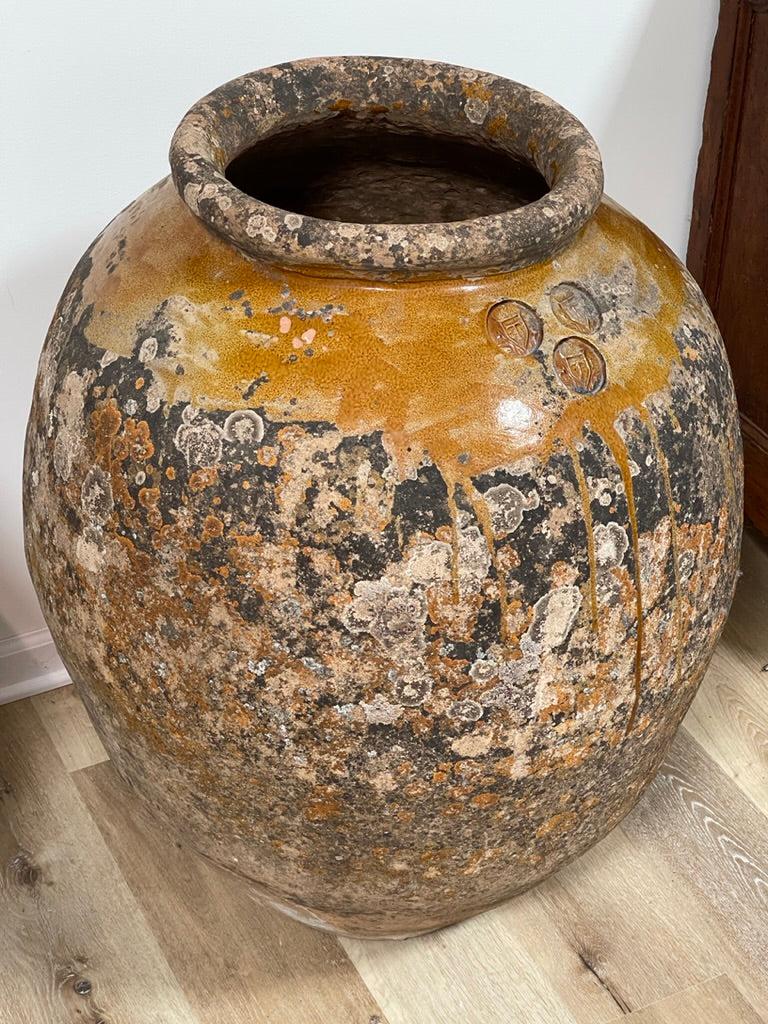 16th Century Exceptional Large Biot Oil Vessel Jar For Sale at 1stDibs