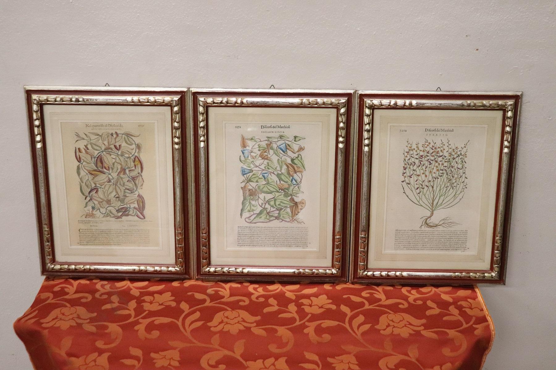 16th Century Rare Antique Engravings with Frame, Set of 6 at 1stDibs
