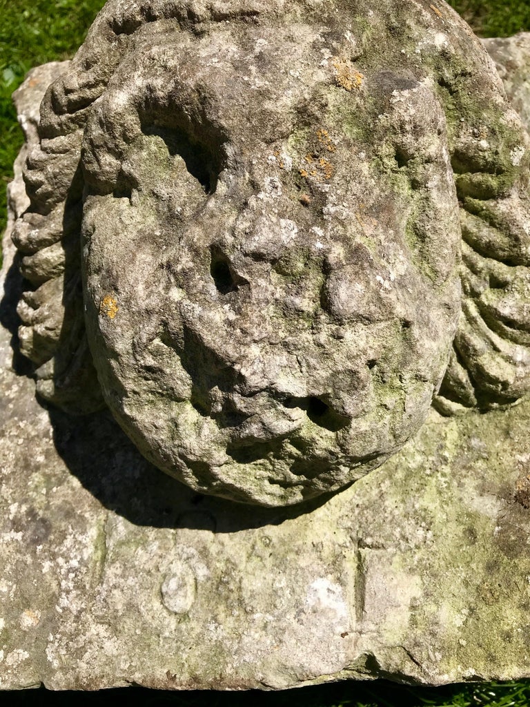 16th Century Weathered French Hand Carved Limestone Cherub Head For ...