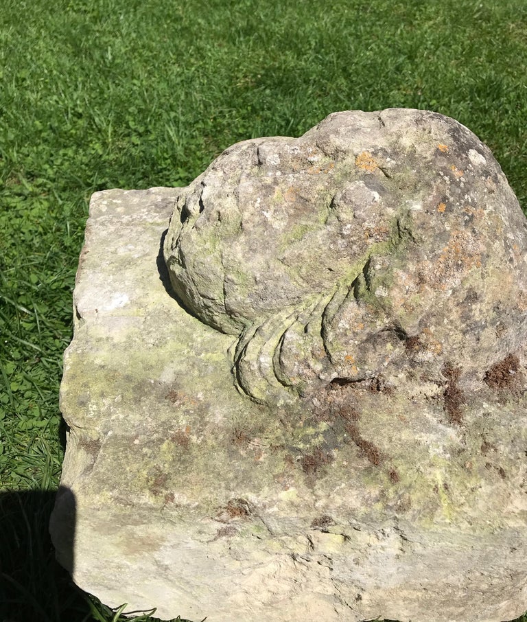 16th Century Weathered French Hand Carved Limestone Cherub Head For ...