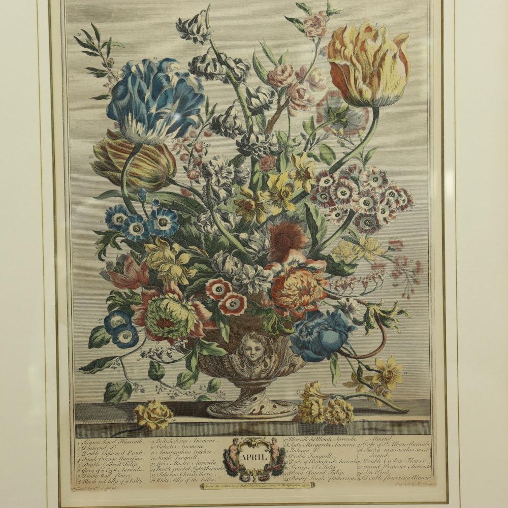 1730 Robert Furber - April Floral Calendar Hand Colored Etching By H ...