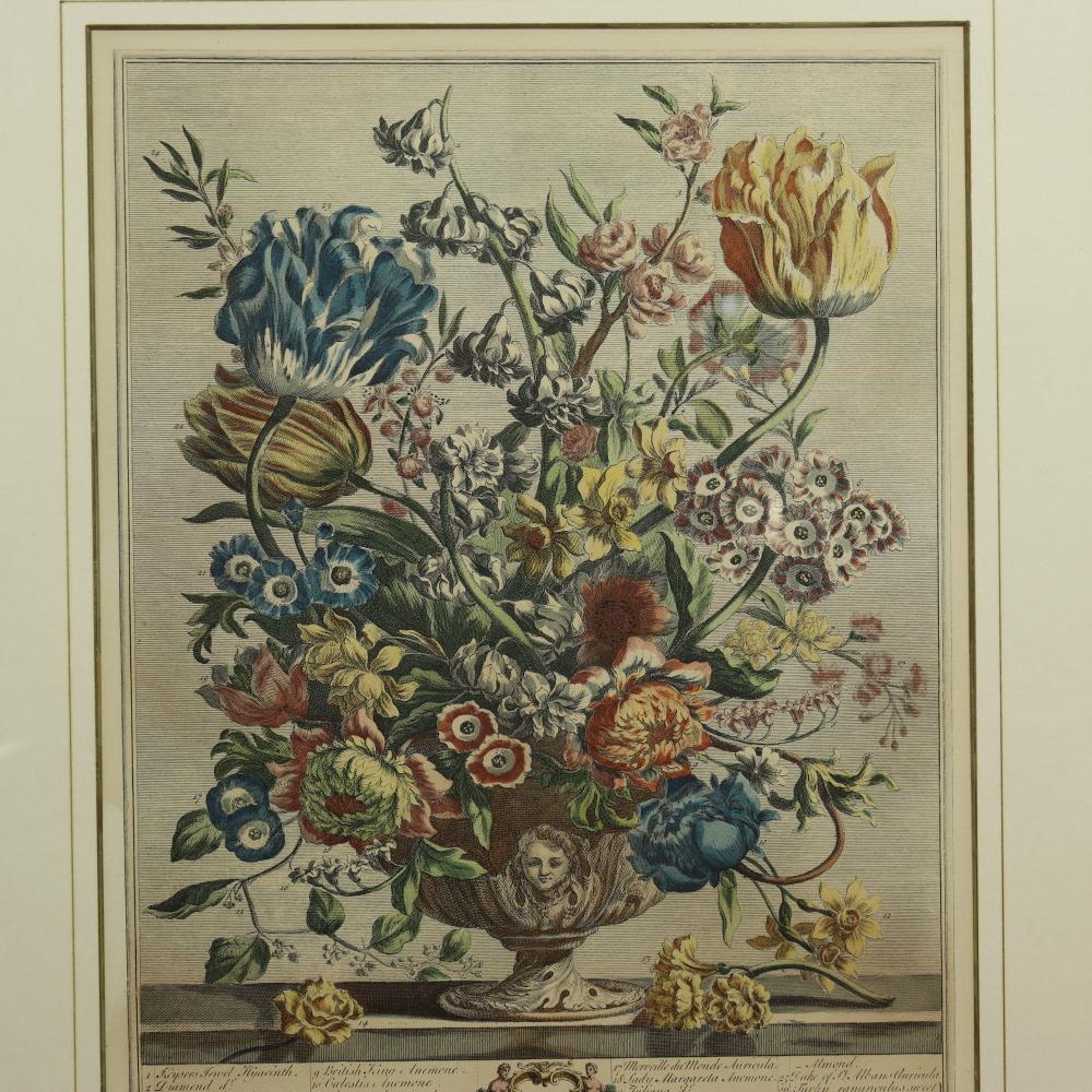 1730 Robert Furber - April Floral Calendar Hand Colored Etching By H ...