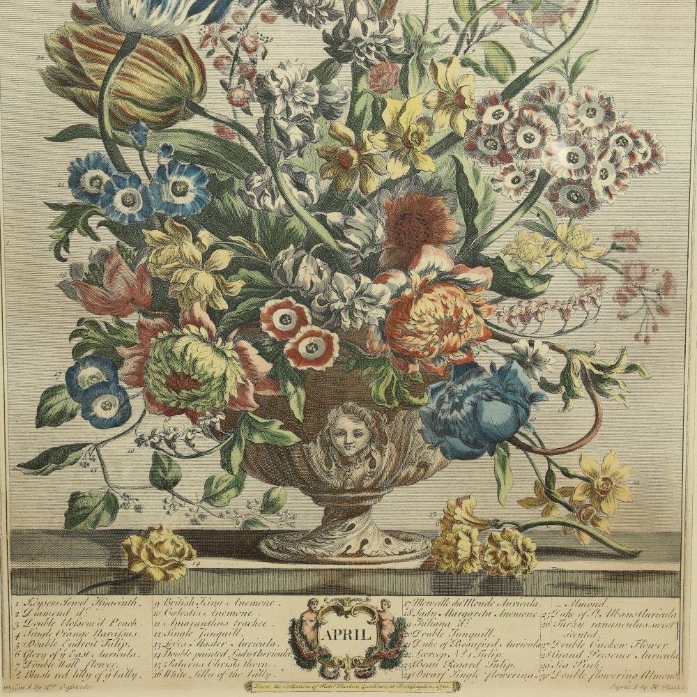 1730 Robert Furber - April Floral Calendar Hand Colored Etching By H ...