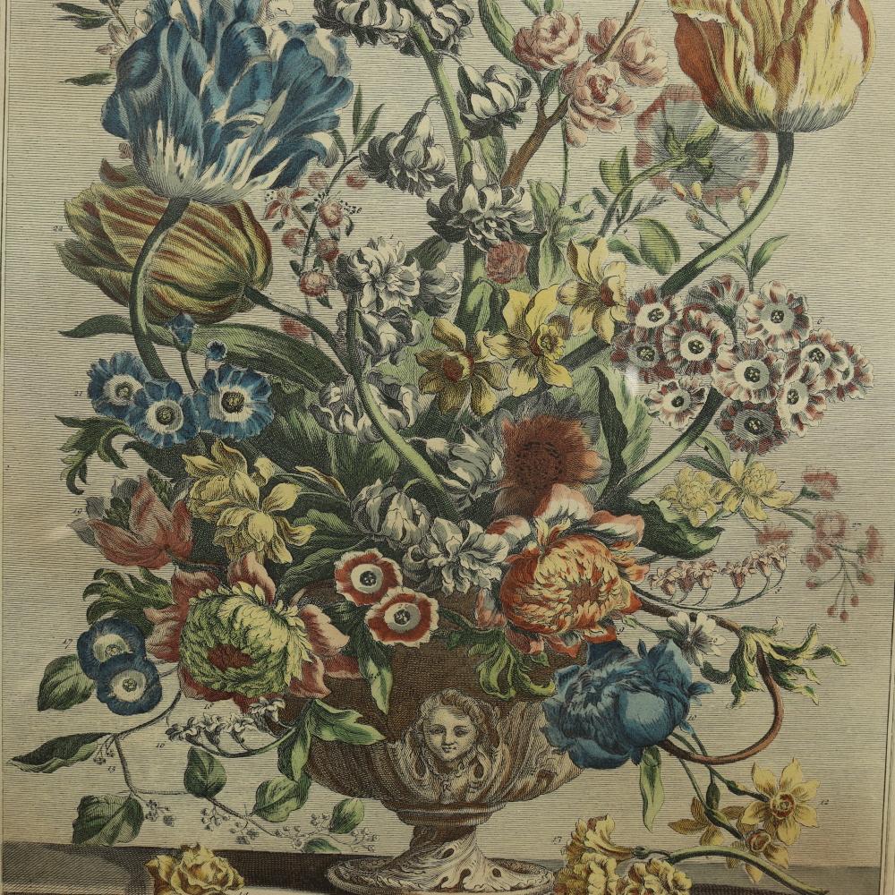1730 Robert Furber - April Floral Calendar Hand Colored Etching By H ...