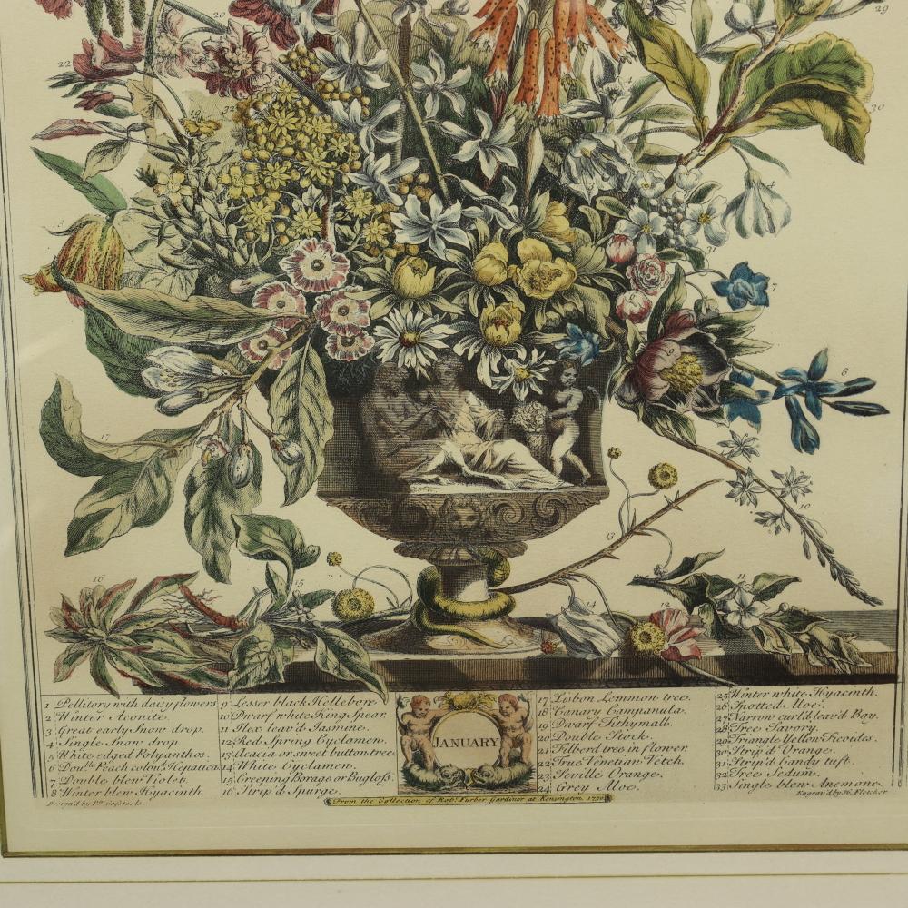 1730 Robert Furber - January Floral Calendar Hand Colored Etching by H ...