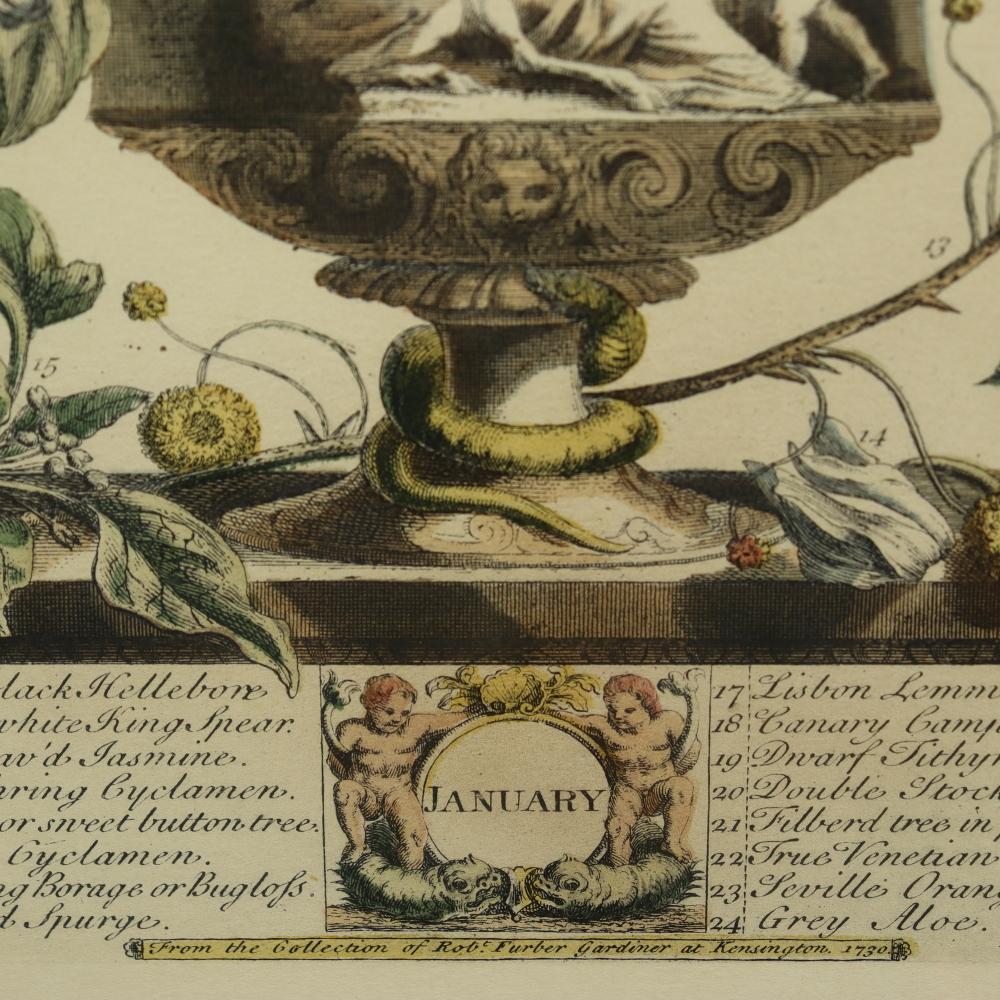1730 Robert Furber - January Floral Calendar Hand Colored Etching by H ...