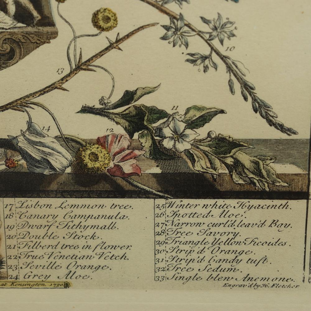 1730 Robert Furber - January Floral Calendar Hand Colored Etching by H ...
