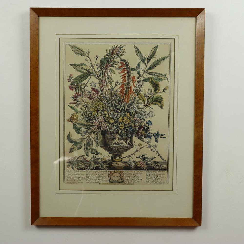 1730 Robert Furber - January Floral Calendar Hand Colored Etching by H ...