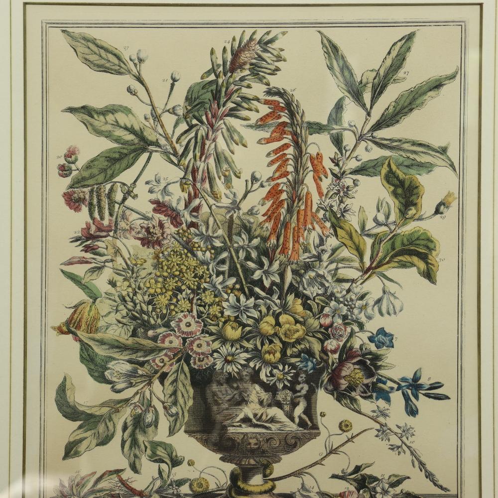 1730 Robert Furber - January Floral Calendar Hand Colored Etching by H ...