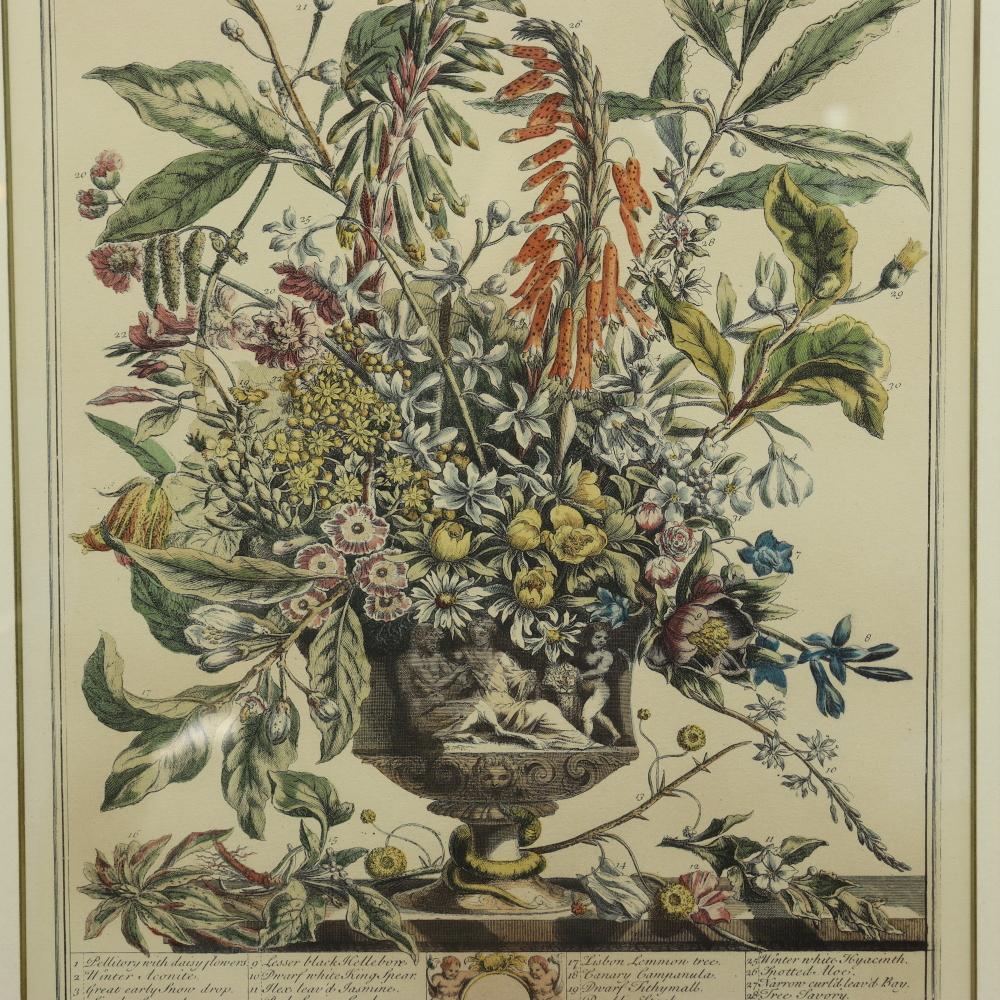 1730 Robert Furber - January Floral Calendar Hand Colored Etching by H ...
